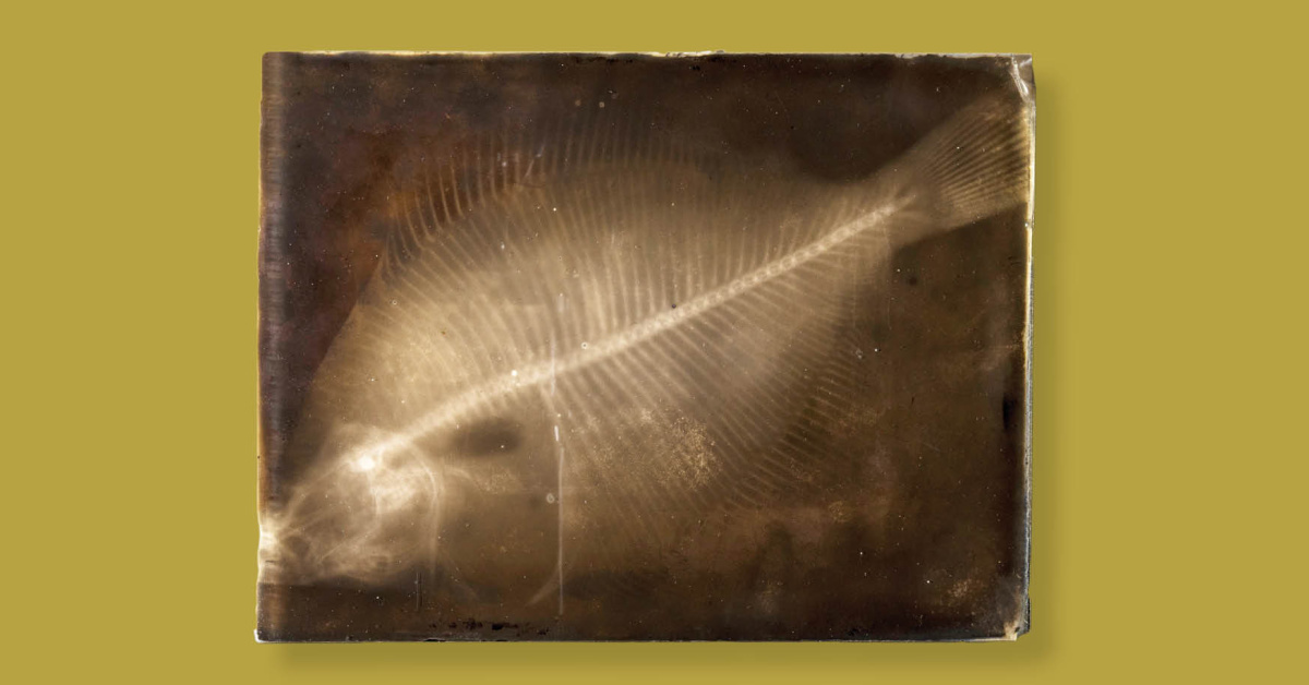 Historical Instruments and Tools | Maastricht Museum